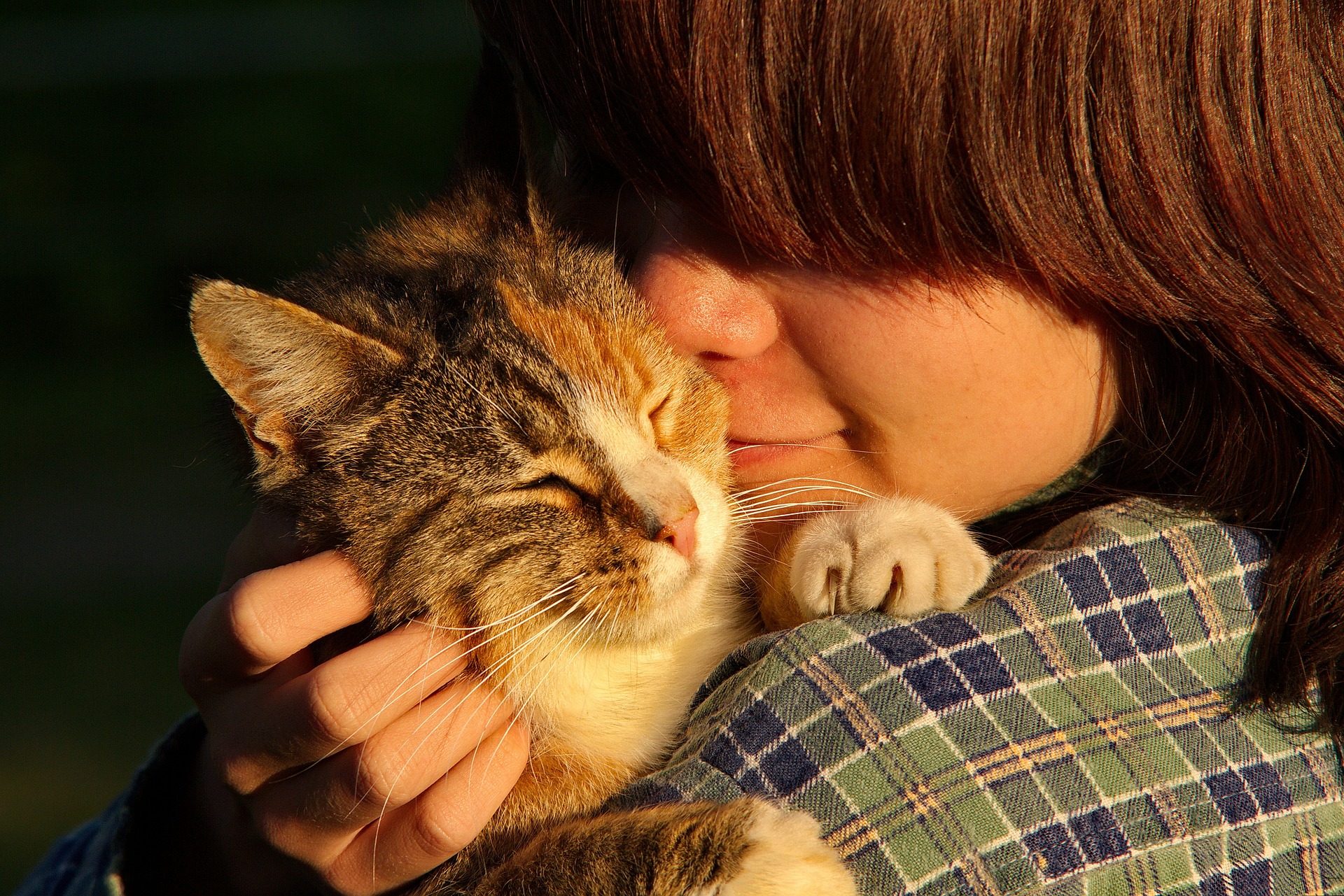 People whisperers- how animals help us heal – watercress words by Dr Aletha